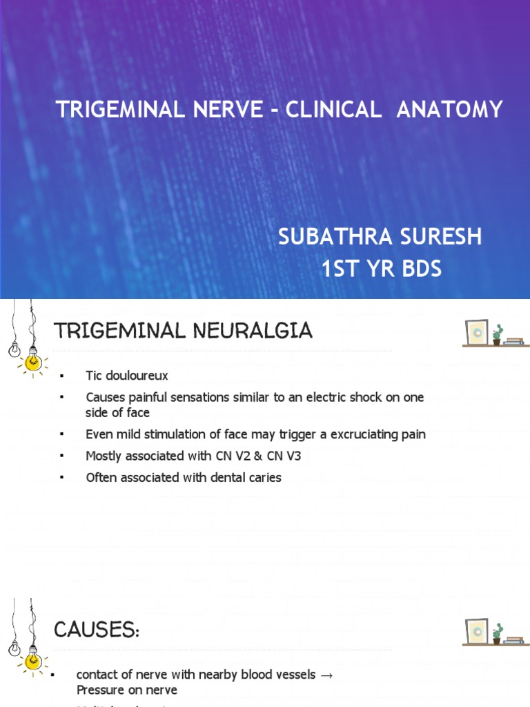 Pterygopalatine and Otic Ganglion | PDF | Anatomy | Nervous System