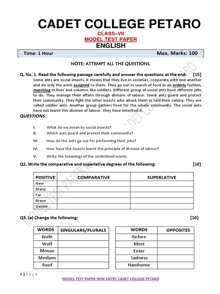 English Model Test Paper Vii | PDF | Cognitive Science | Morphology