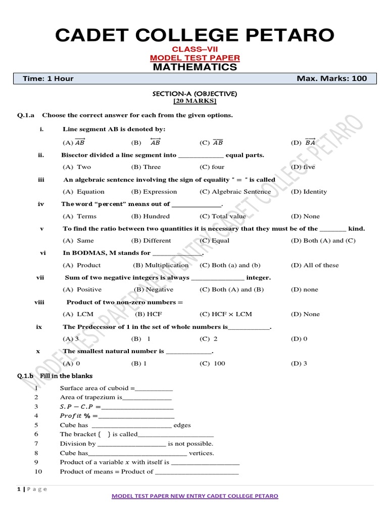 Maths Model Test Paper Vii | PDF | Mathematics | Elementary Mathematics