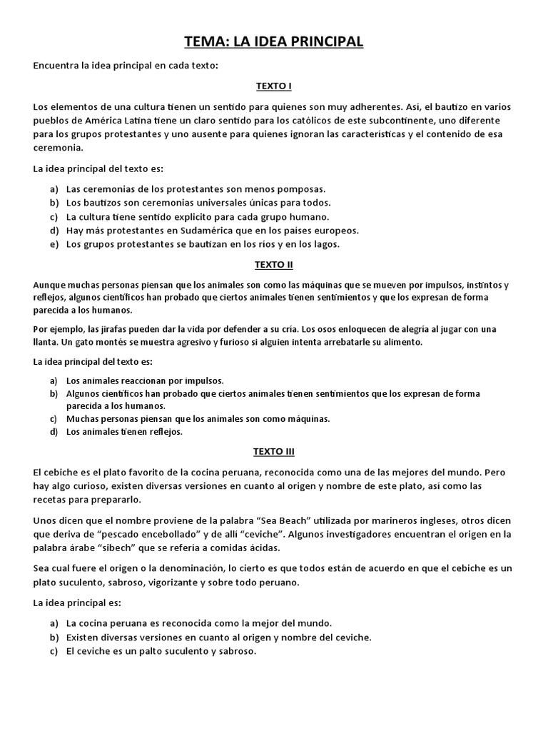 Idea Principal | PDF