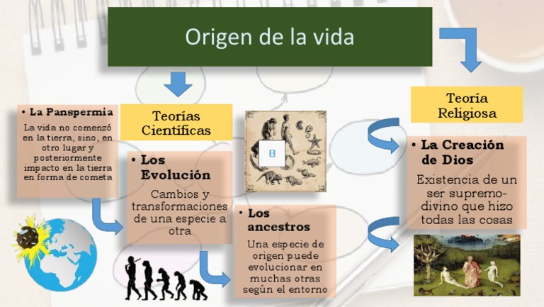 Infografia El Origen de La Vida | PDF Infografia El Origen de La Vida | PDF