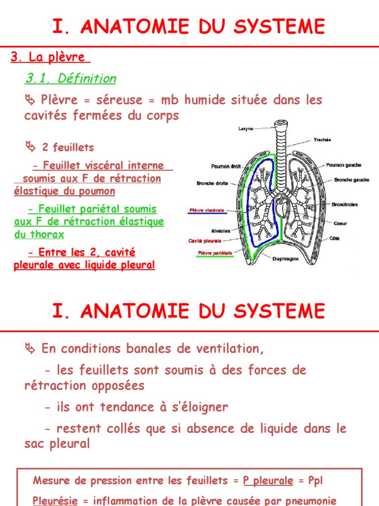 Pression Pleurale | PDF