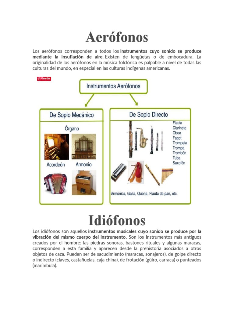 Aerófonos, Y Otros | PDF