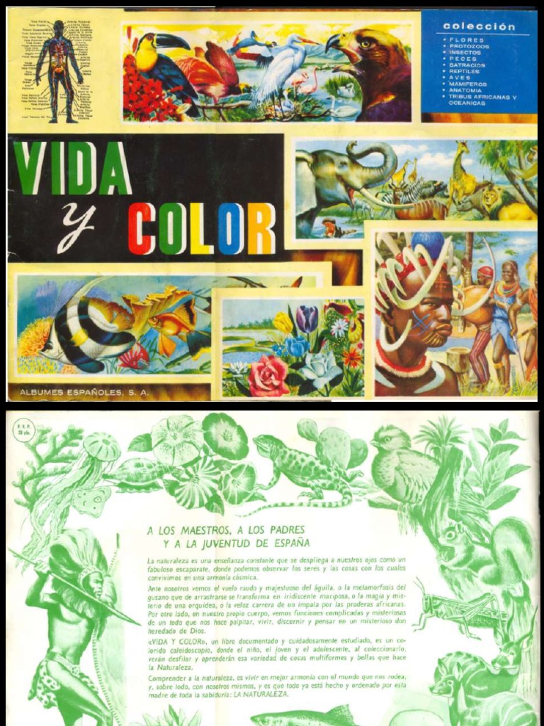 Álbum Vida y Color 1965 | PDF