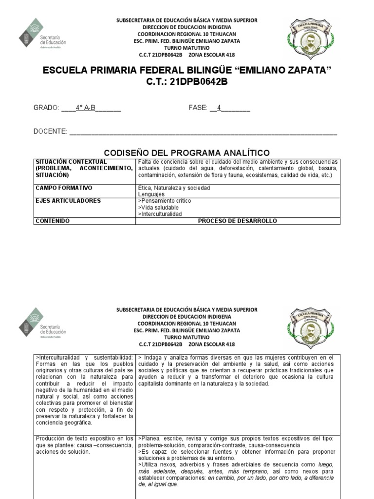 Formato para El Programa Analítico | PDF | Multilingüismo | Educación primaria