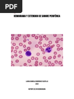 Reporte de Extendido de Sangre Periférica | PDF | Plaqueta | Leucocito