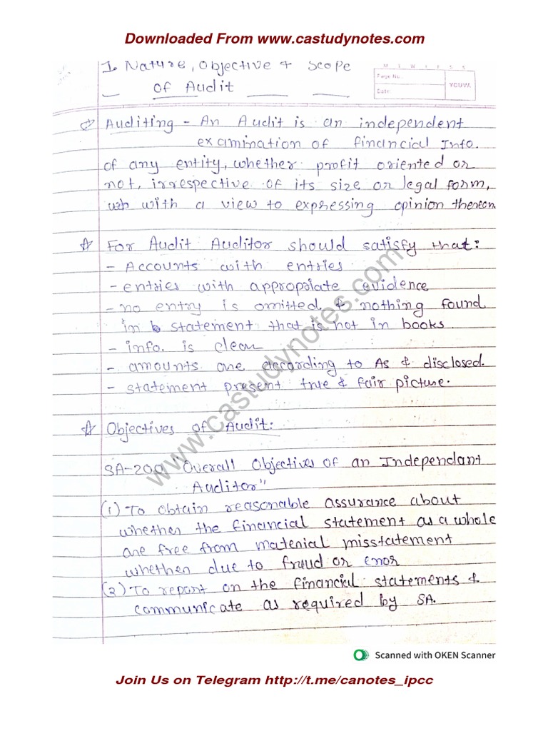 Audit Chapter 1 Handwritten Notes | PDF