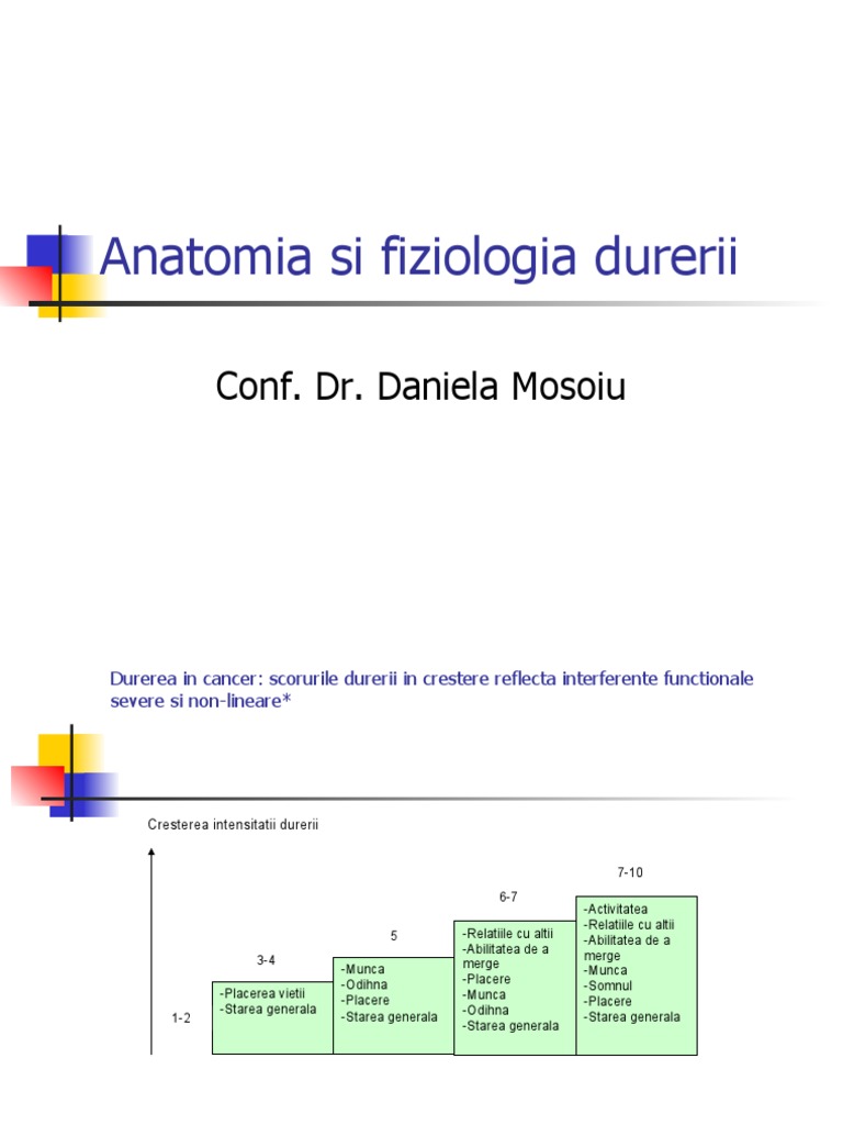 Anatomia Si Fiziologia Durerii | PDF