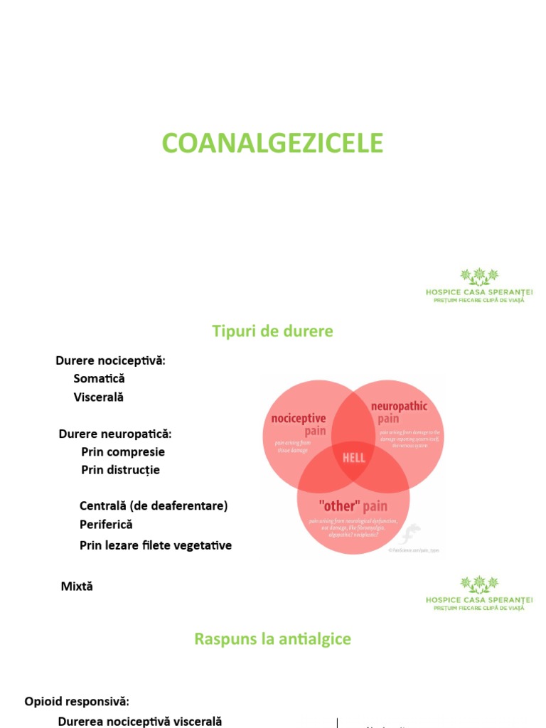 Curs 13. Coanalgezicele | PDF