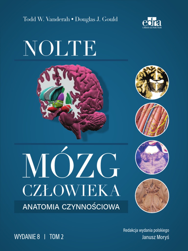 Mozg t2 Okl | PDF