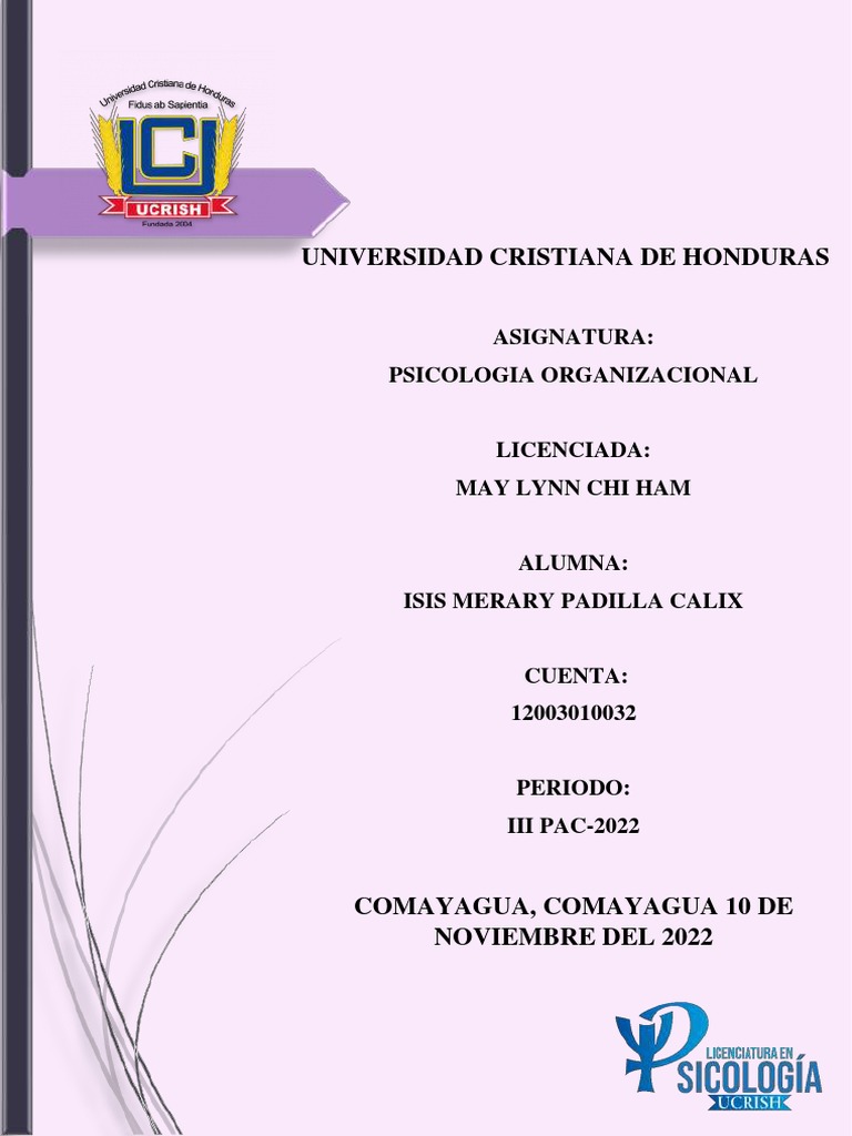 3.2 Caso Incidental Capitulo 11 | PDF