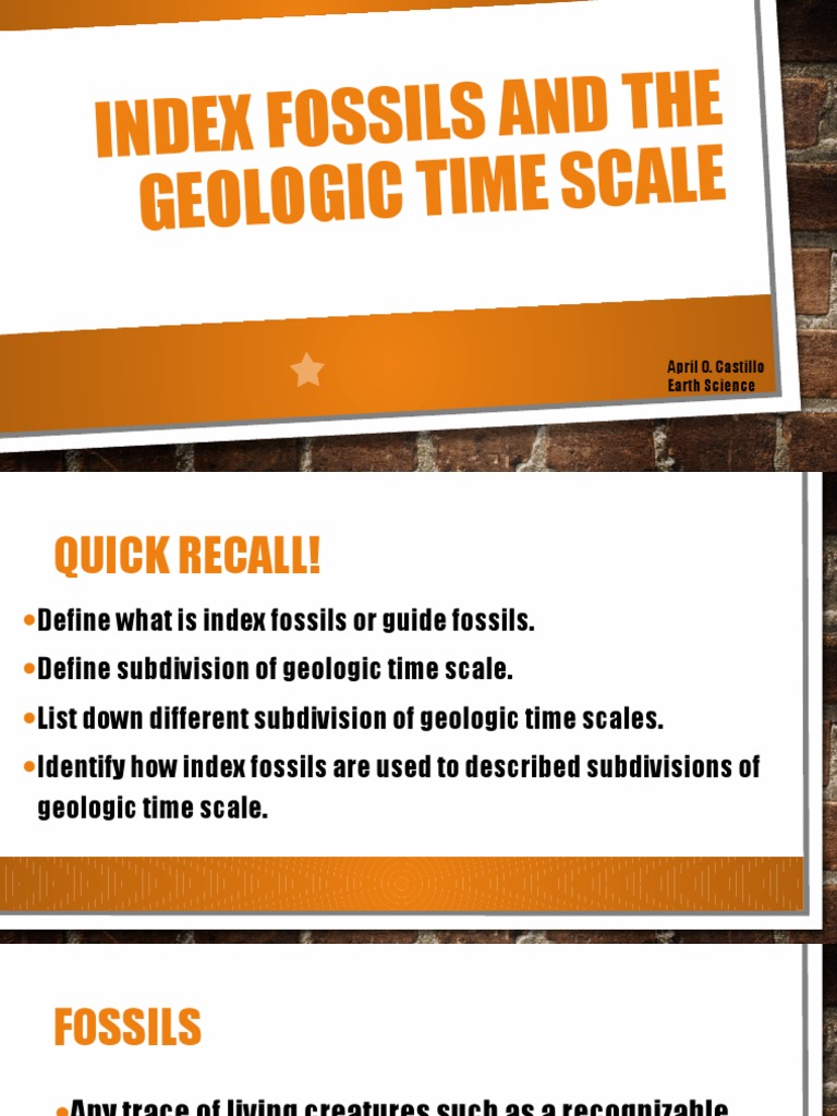 Week 7 and 8 | PDF | Geologic Time Scale | Fossil