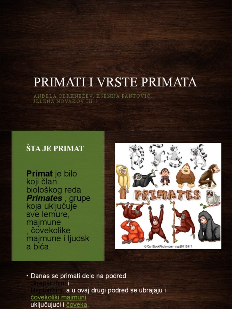 Primati I Vrste Primata | PDF