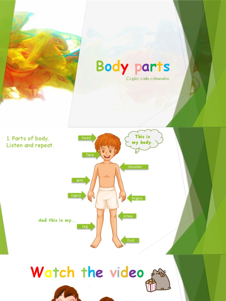 Body Parts | PDF