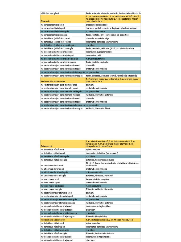 Vállizület Izmai - Sheet1 | PDF