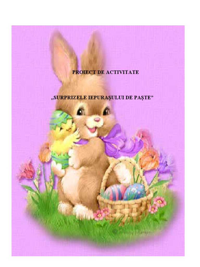 Proiect Didactic Gradul II | PDF