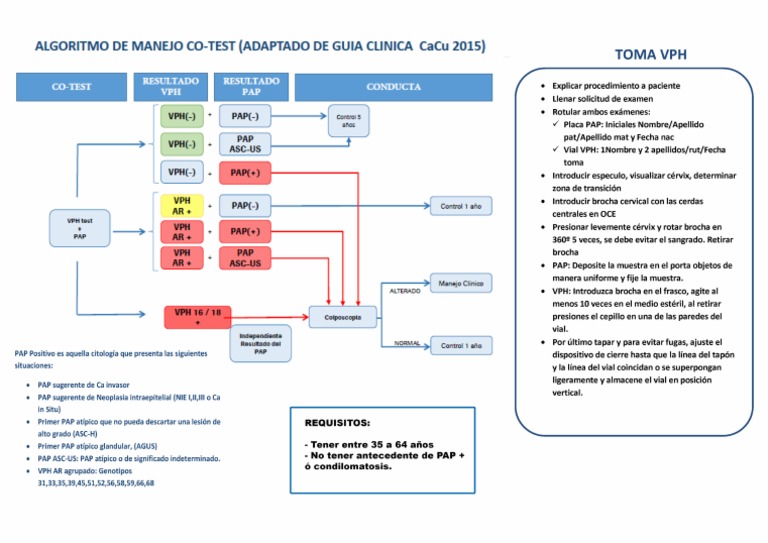 Algoritmo VPH A3 | PDF
