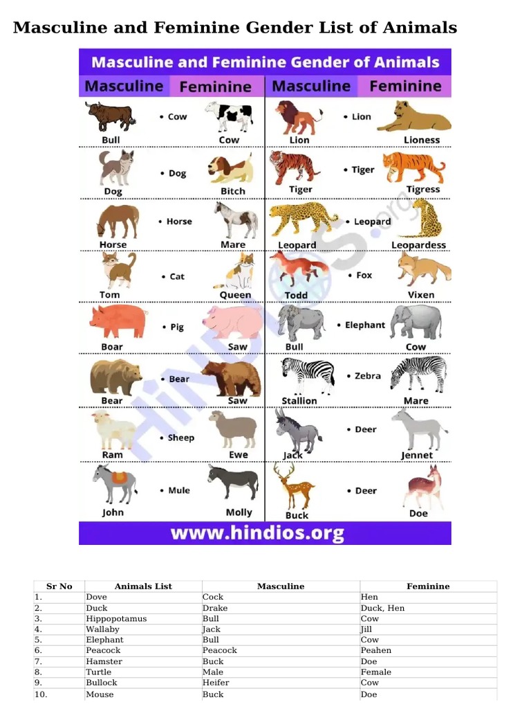 Masculine and Feminine Gender List of Animals | PDF | Chicken | Organisms