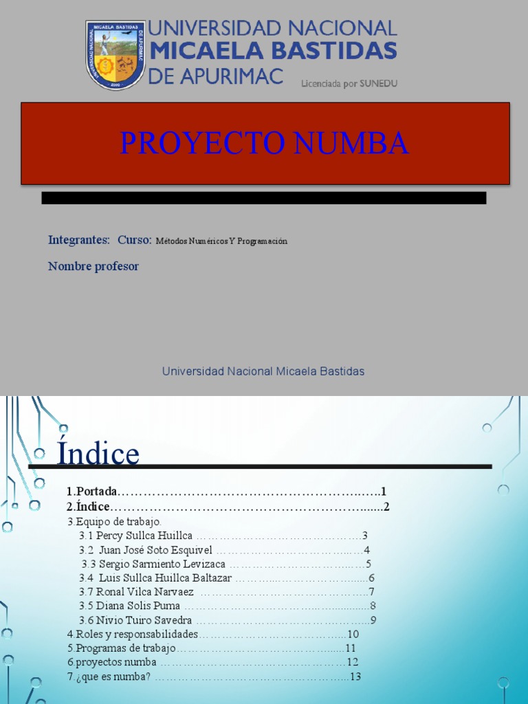 Proyecto Numa Informe | PDF | Python (lenguaje de programación) | Ciencias de la Computación