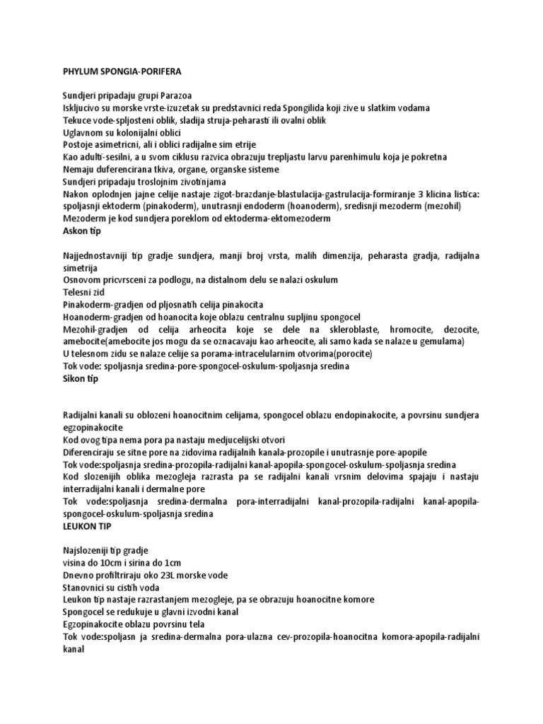 Phylum Spongia | PDF