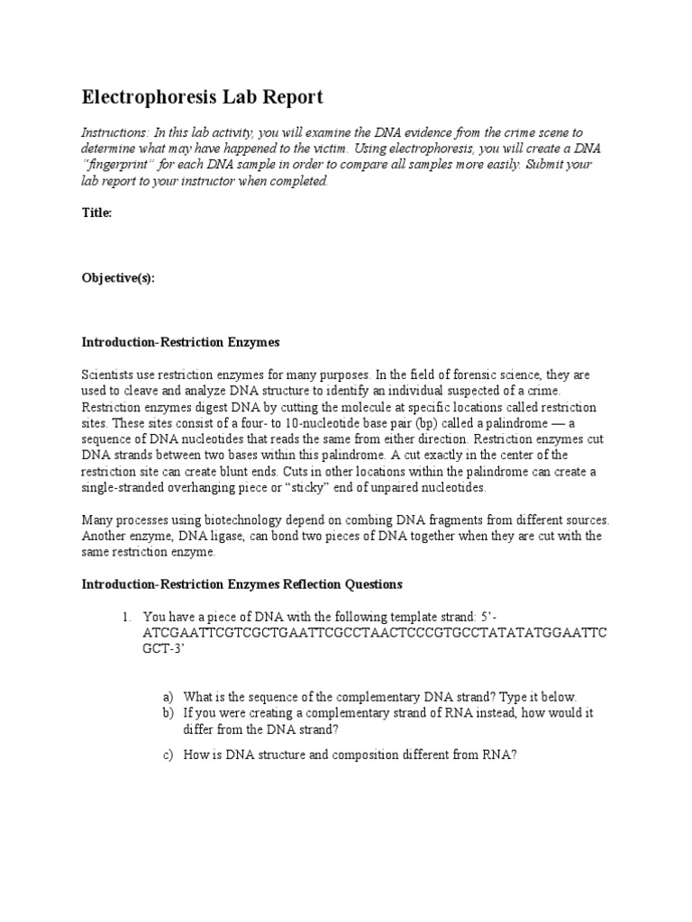DNA Fingerprinting via Electrophoresis Lab | PDF | Restriction Enzyme | Dna
