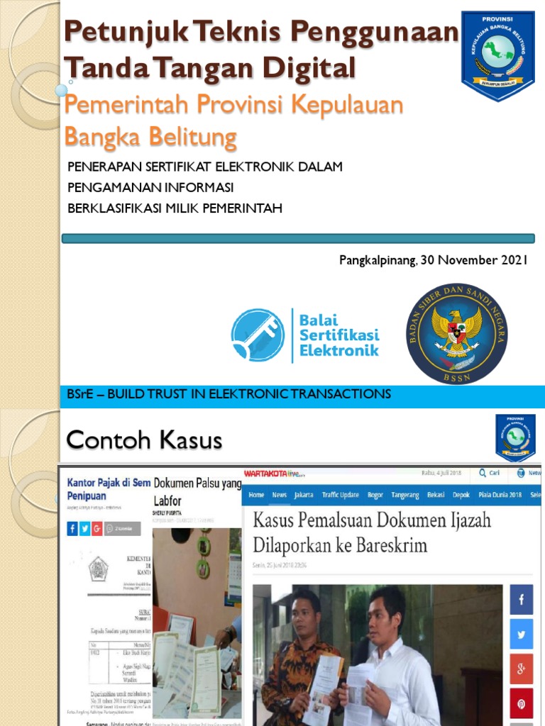 Petunjuk Teknis TTE | PDF