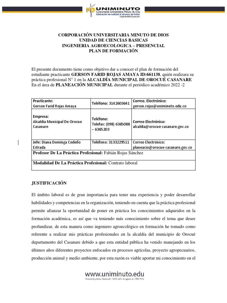 Modelo Plan de Formación. | PDF