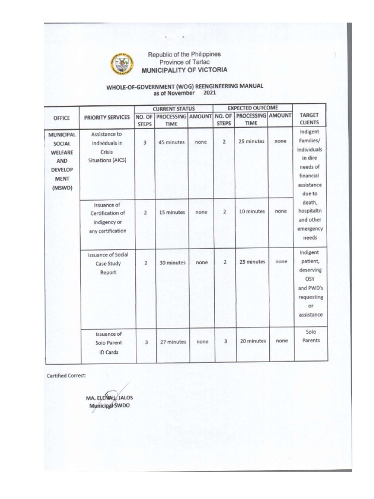 WOG Reengineering Manuasampleonly | PDF