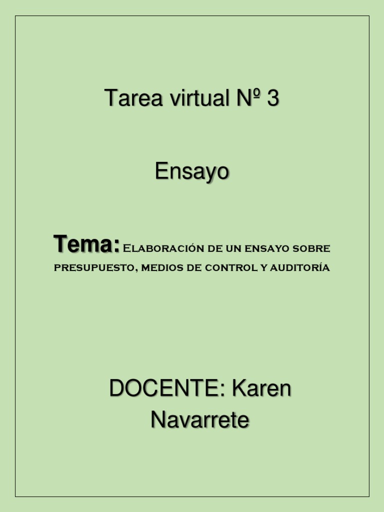 Tarea Virtual Nº3 | PDF | Presupuesto | Auditoría