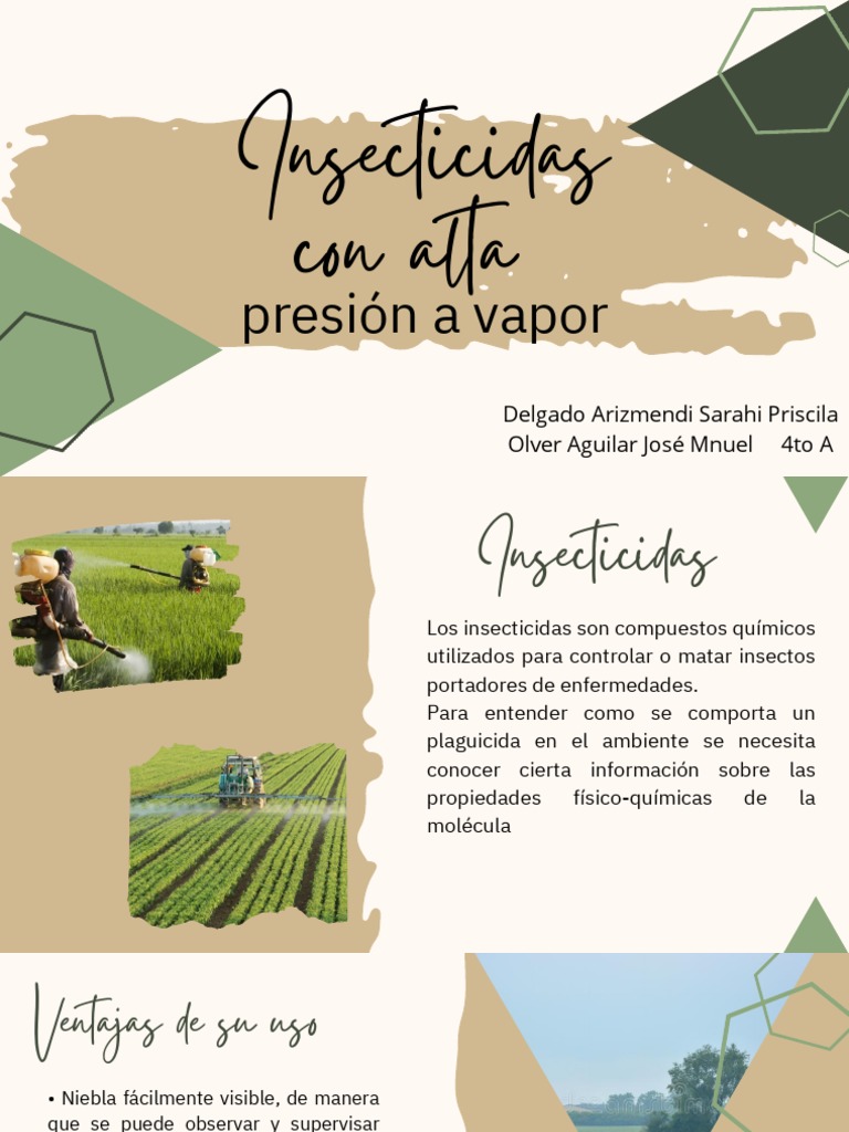 Insecticidas y su Presión de Vapor | PDF | Solvente | Química