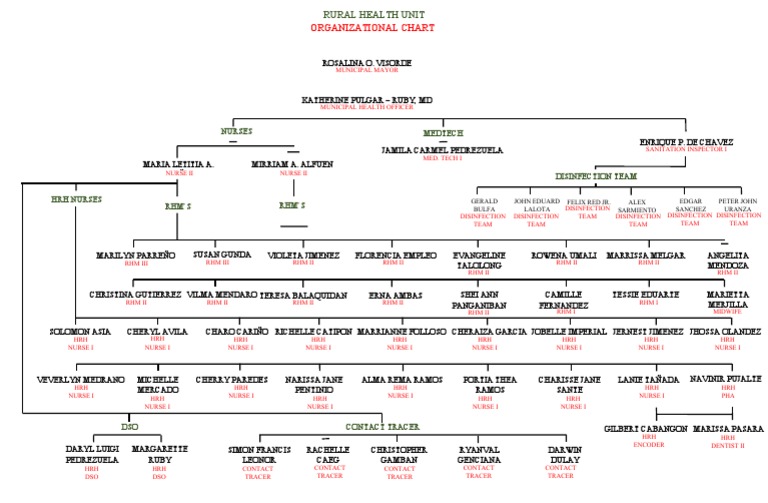 Rural Health Unit Organizational Chart | PDF