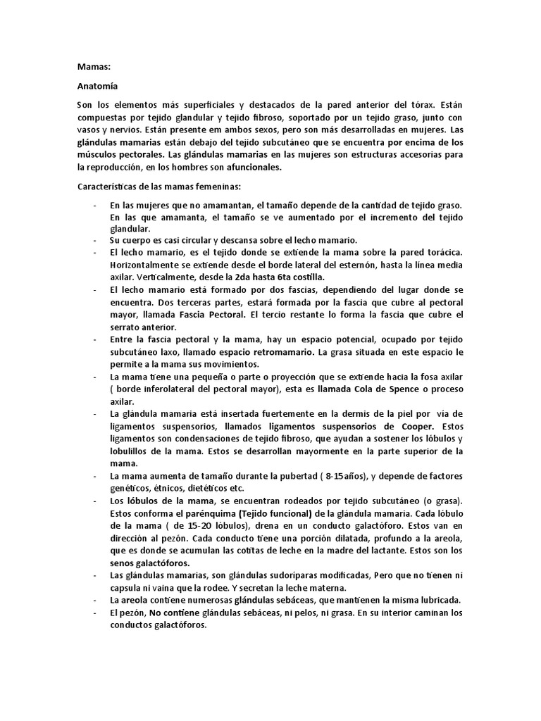 Anatomía y función de las mamas | PDF | Pecho | Morfología (biología)