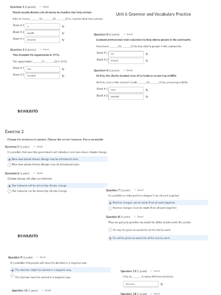 Unit 6 Grammar and Vocabulary Practice W | PDF