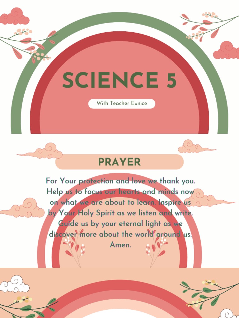 Weather Disturbance | PDF | Tropical Cyclones | Monsoon