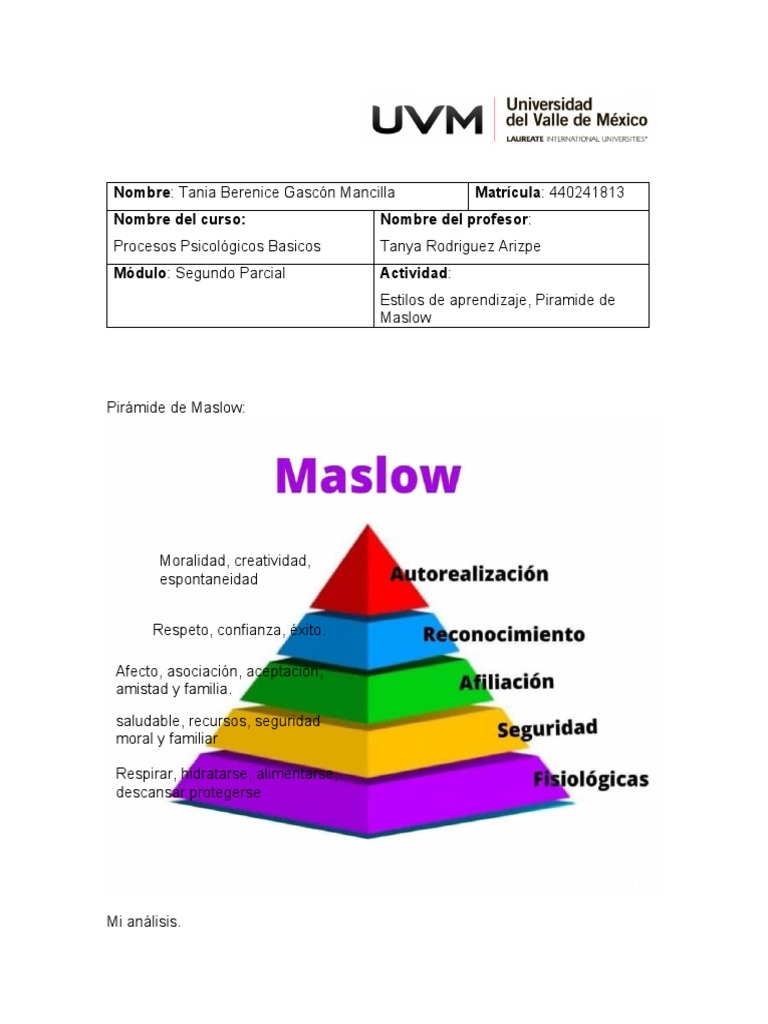 Teorias y Piramide TGM | PDF
