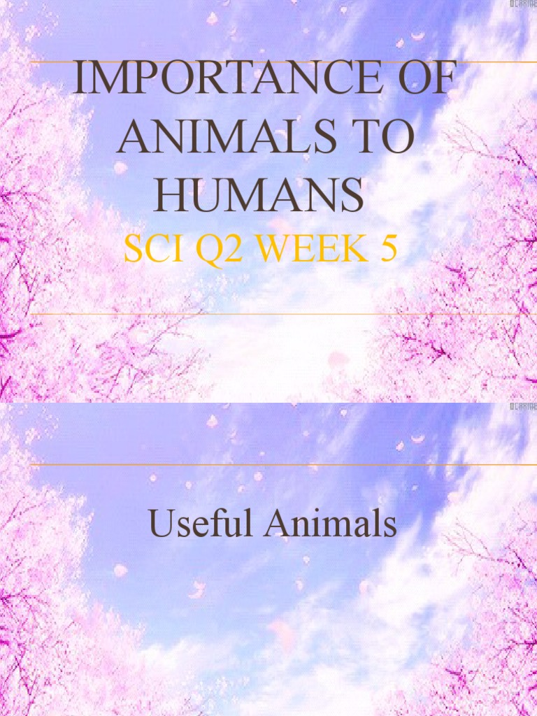 Grade 3 PPT Science Q2 W5 Day 1 | PDF | Insects | Fly