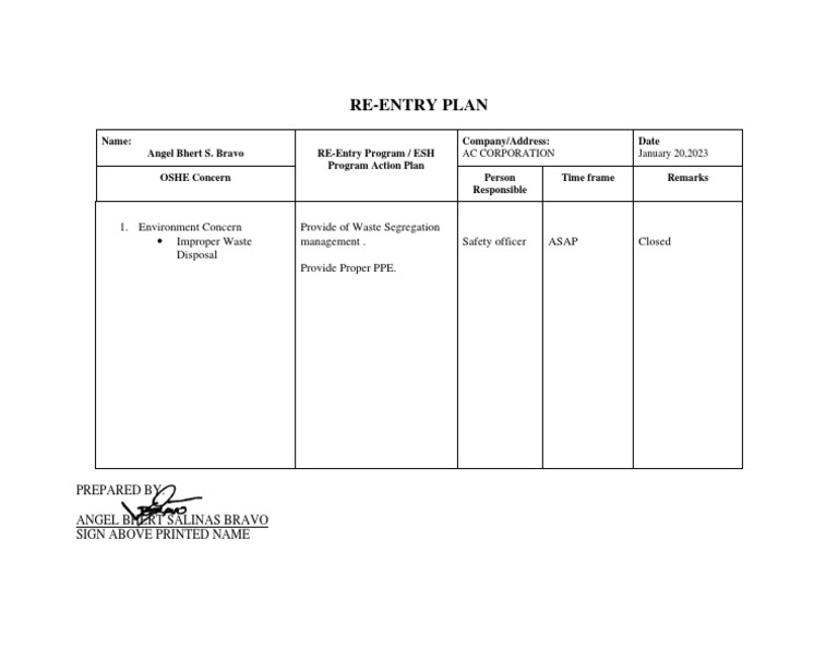 Re Entry Plan Form | PDF