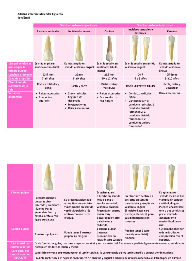 Cuadro Comparativo De Grupos Sociales