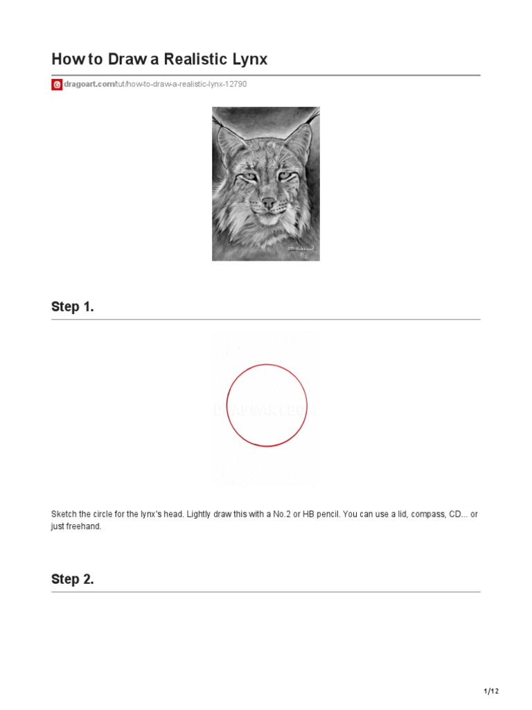 Drawing Realistic Lynx Step-By-Step: A Comprehensive 24-Step Guide To ...