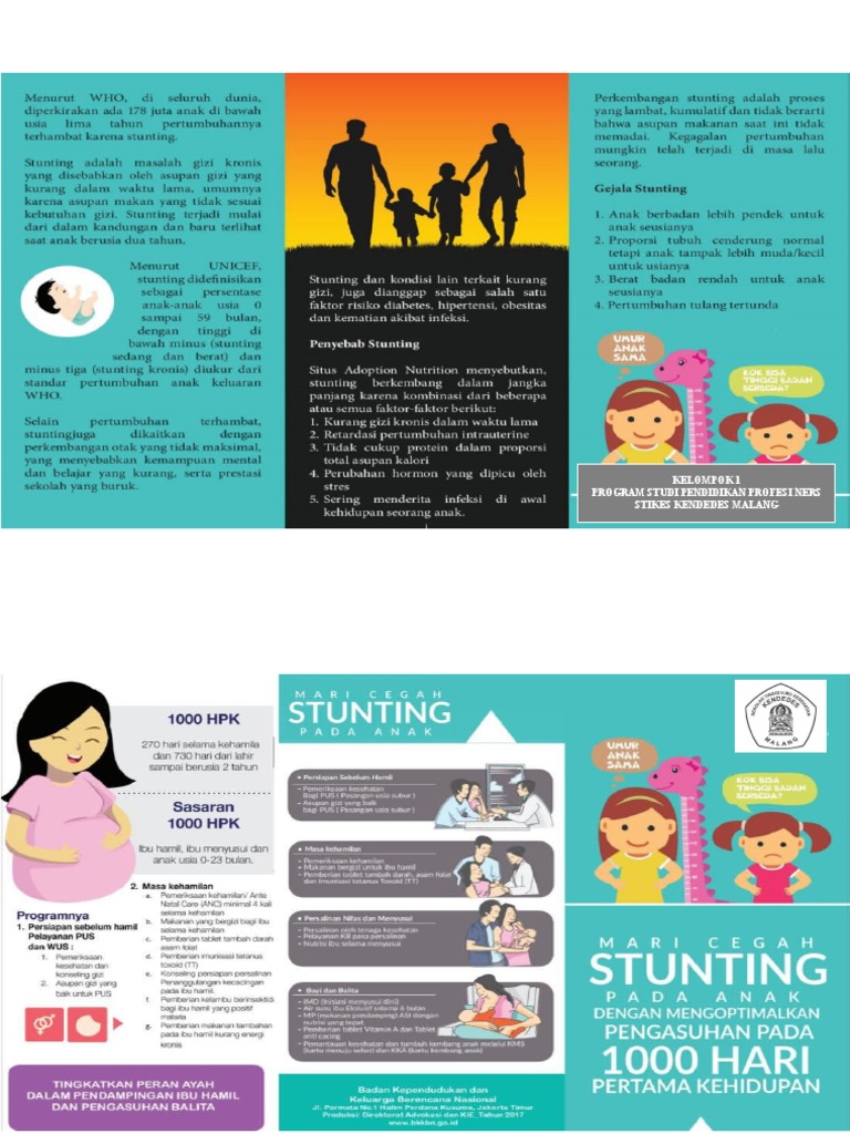 Leaflet Stunting New | PDF
