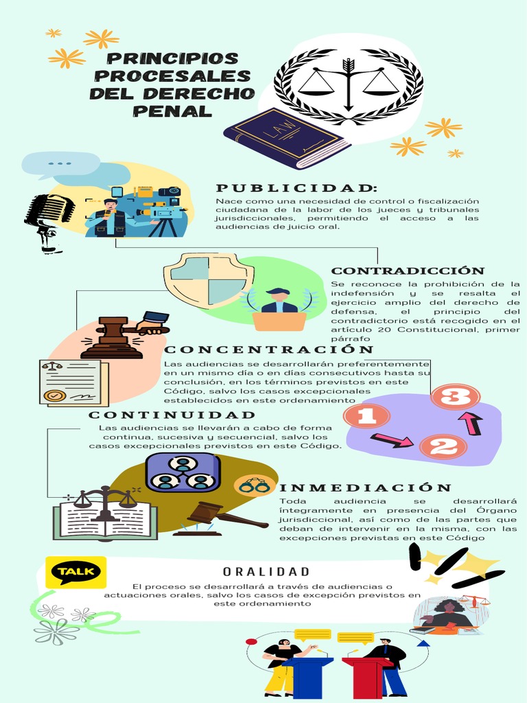 Principios Procesales 1 | PDF