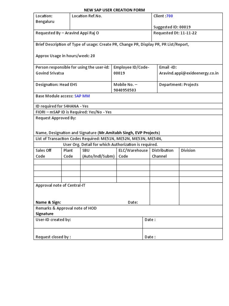 Sap User Id Creation Form | PDF