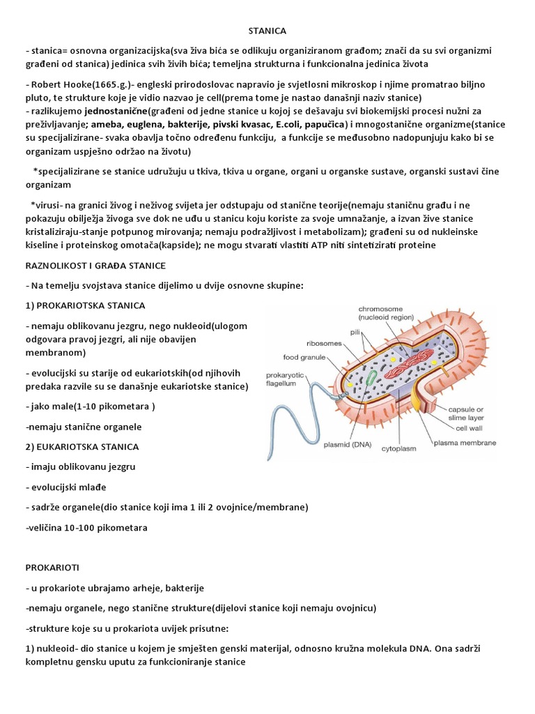 BIOLOGIJA - Stanica | PDF
