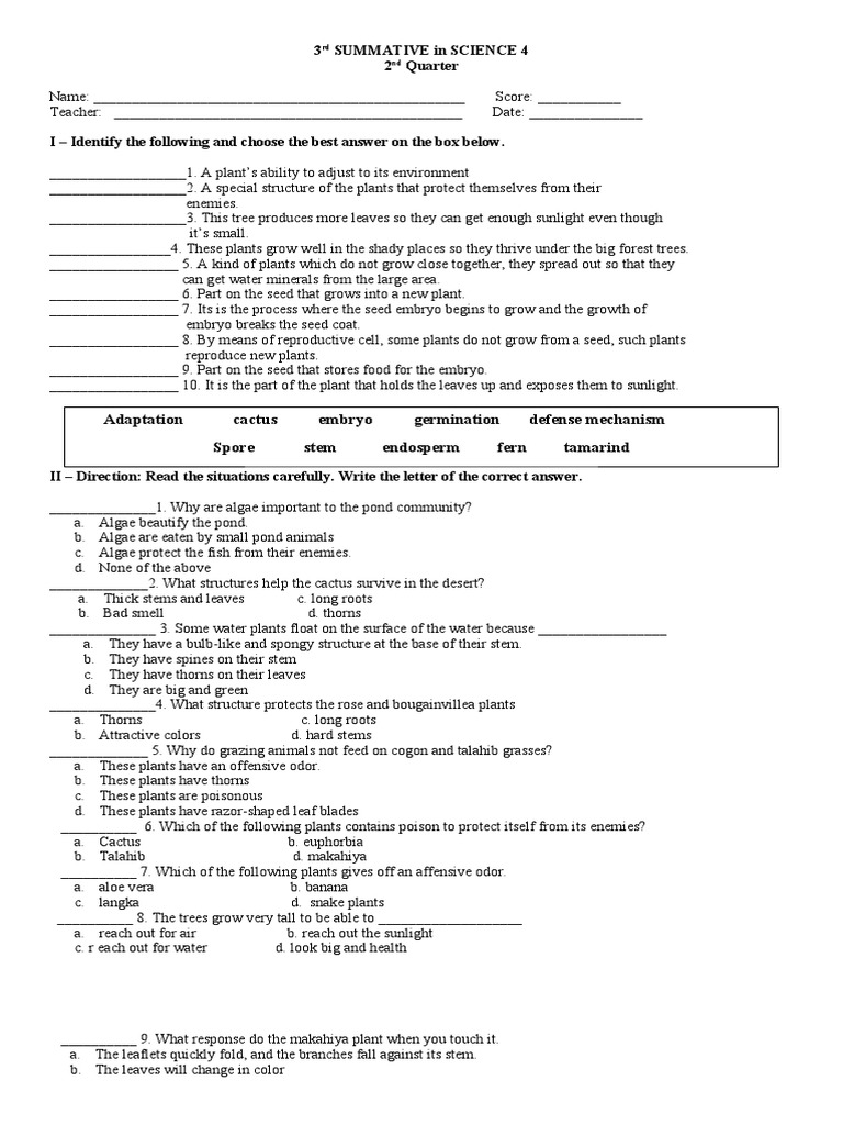 3rd Summative in Science 4-2nd Q | PDF | Plants | Seed