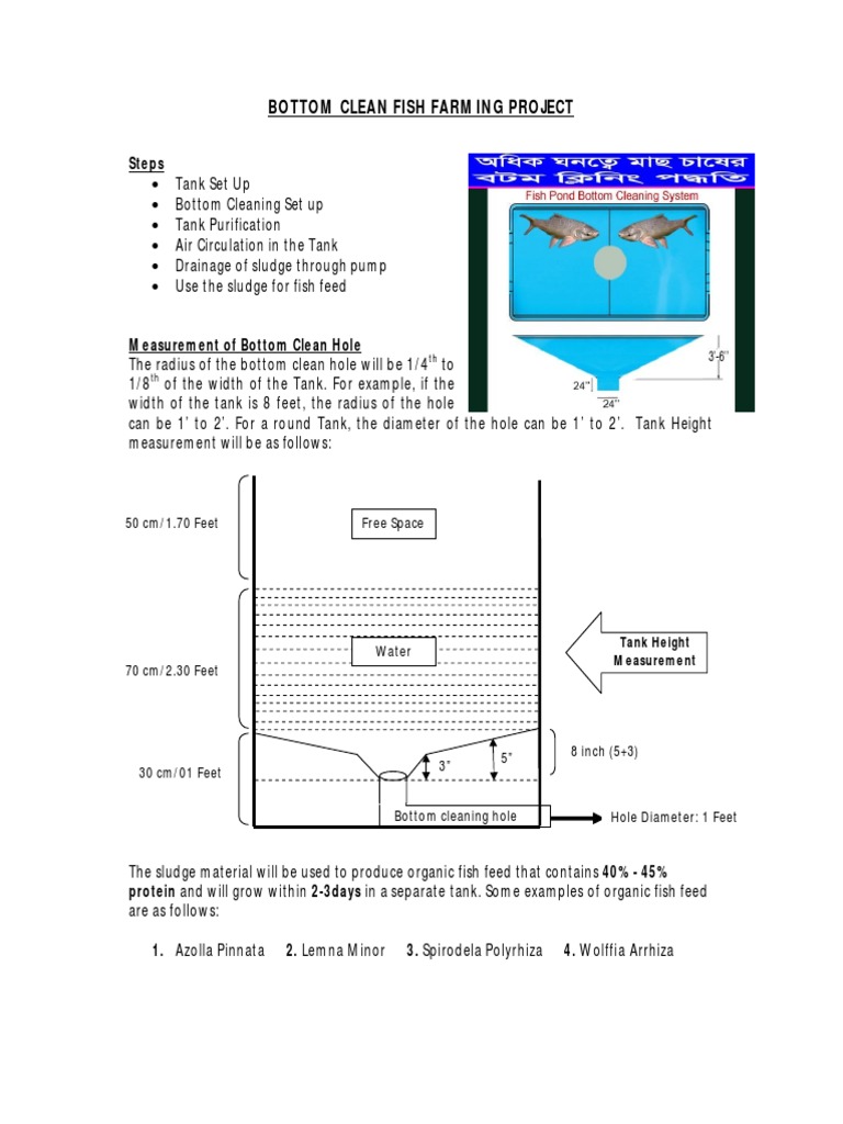 Bottom Clean Fish Farming | PDF | Cooking, Food & Wine | Home & Garden