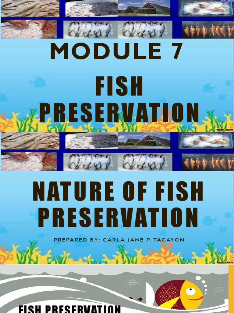 Fish Preservation Techniques Explained | PDF | Food Preservation | Food ...
