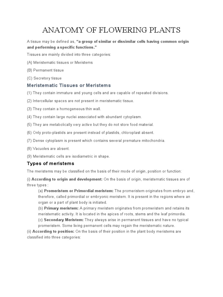 Anatomy of Flowering Plants (Study Material) | PDF | Plant Stem ...