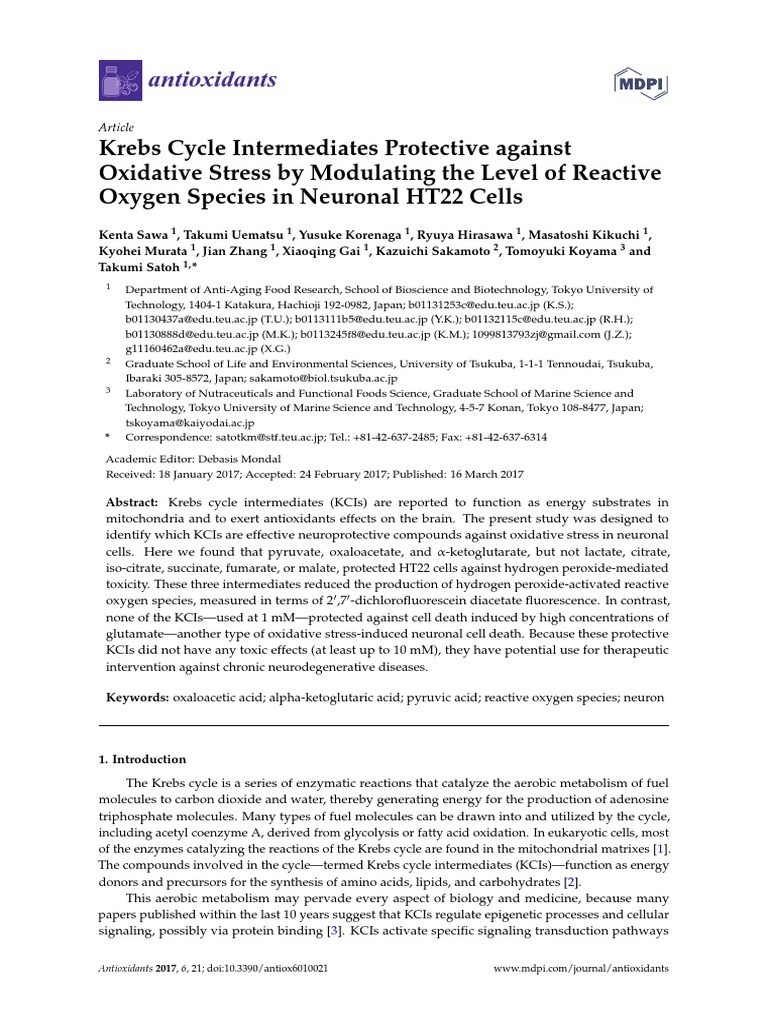 Krebs Cycle Intermediates Protective Against | PDF | Chemistry | Citric ...