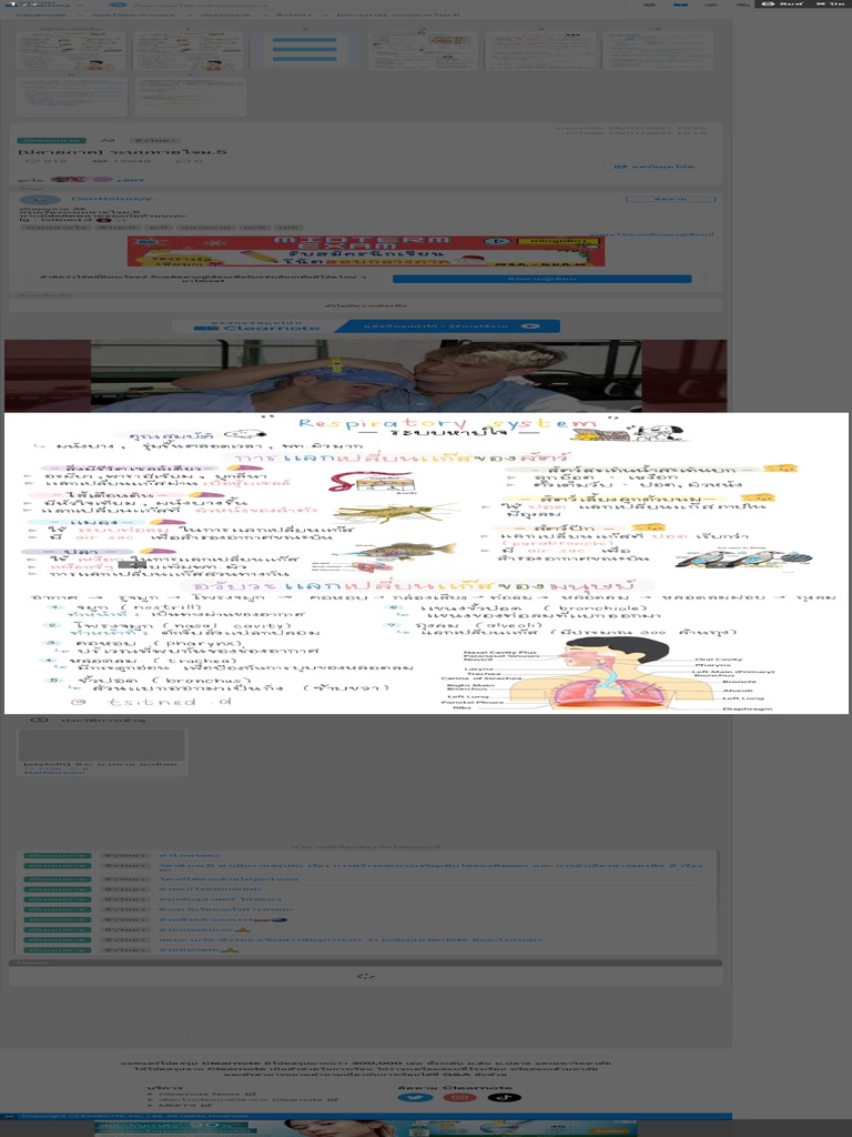 โน้ตของ (ปลายภาค) ระบบหายใจม.5 ชั้น - Clearnote | PDF