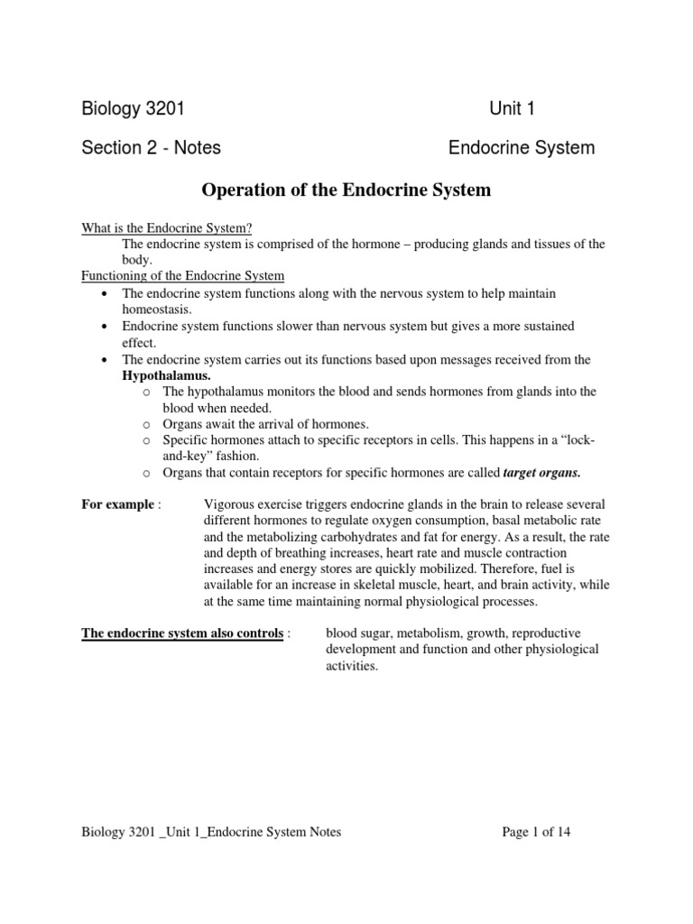 Endocrine System Notes | PDF | Hormone | Endocrine System